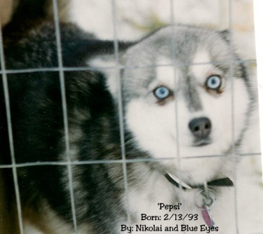 PedigreePoint Online Database